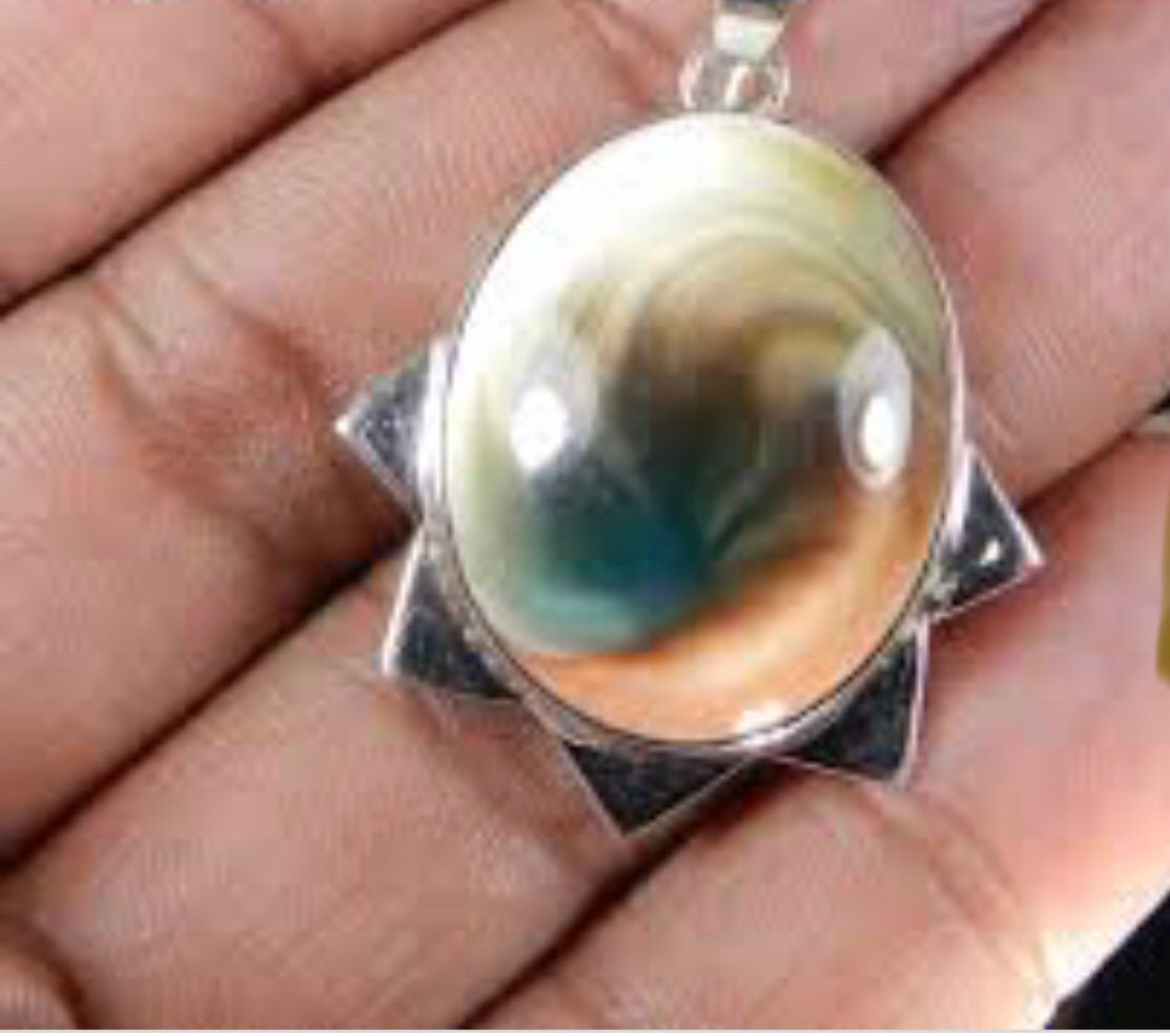 Green Turbo Operculum Cats Eye Shiva Shell for Crafts Shell - Etsy