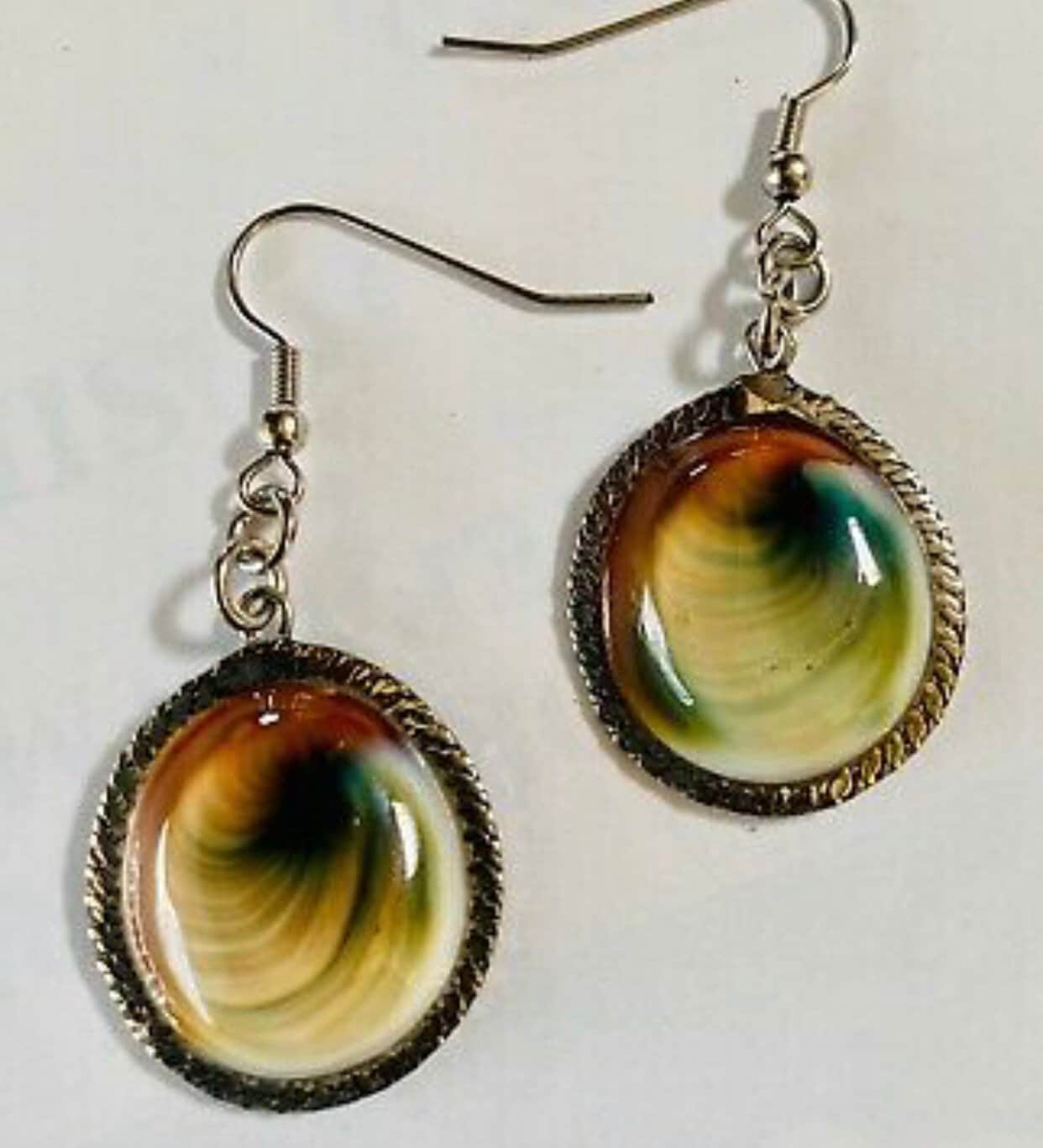 Green Turbo Operculum Cats Eye Shiva Shell for Crafts Shell - Etsy