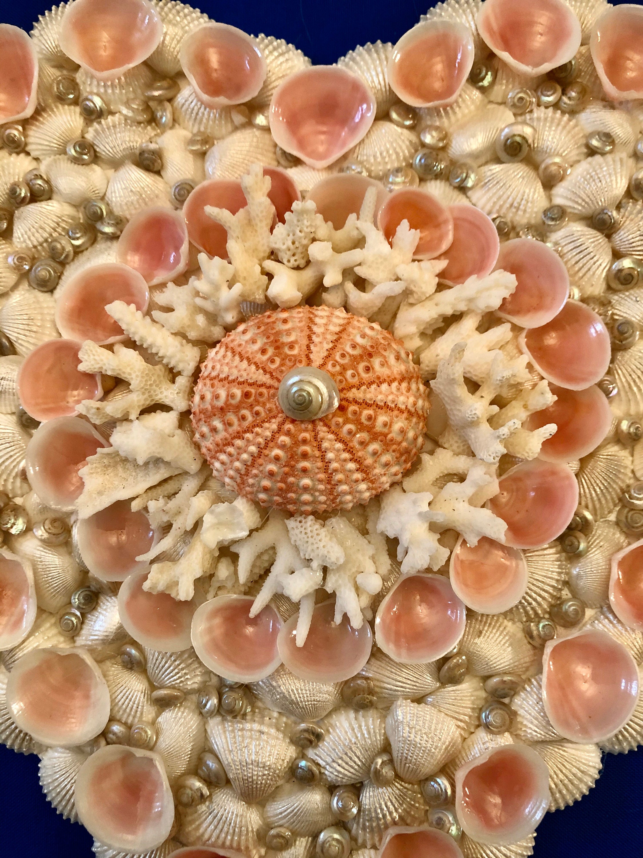 Say it with Seashells Valentine for home decor gift | Etsy