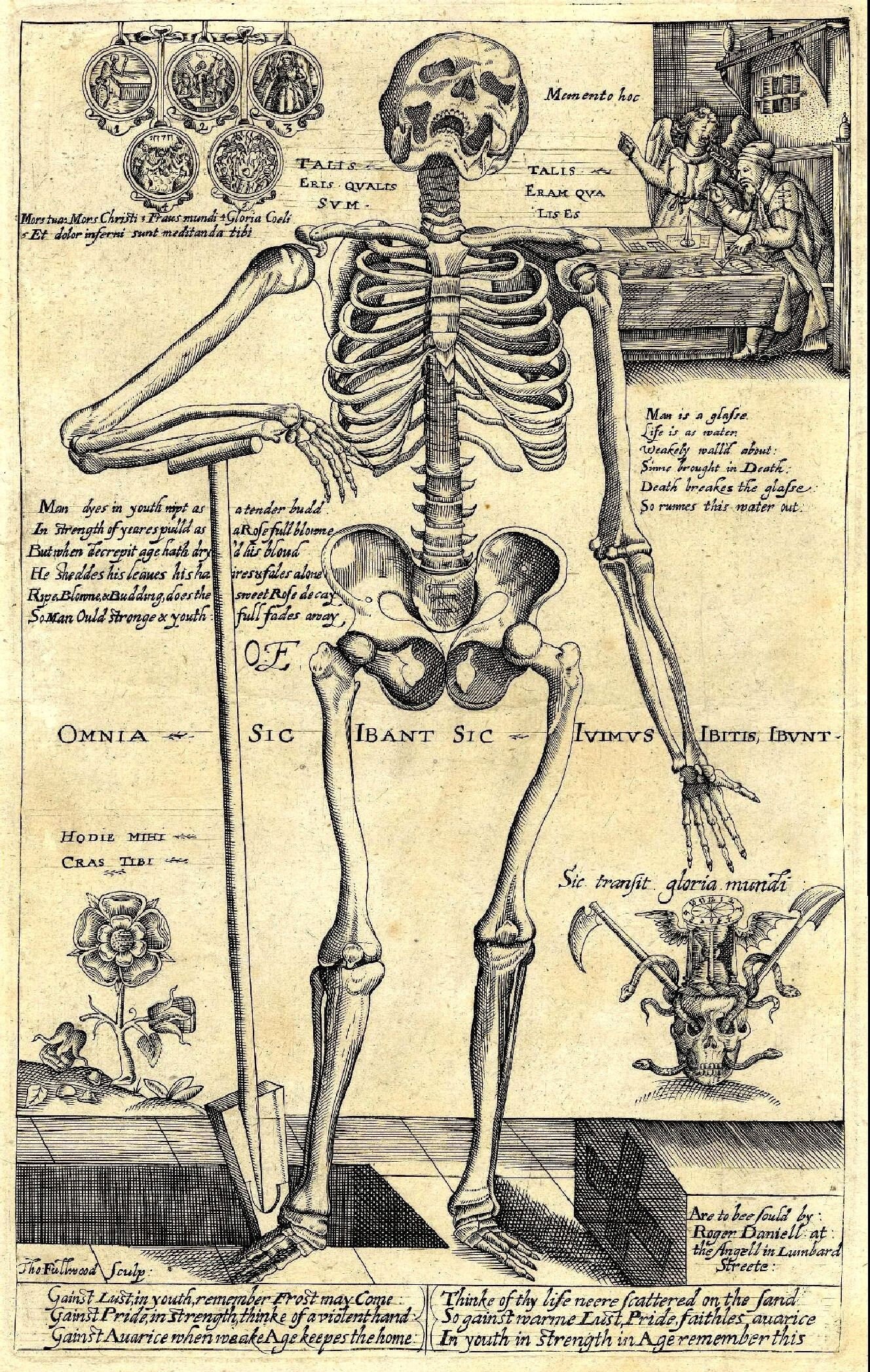 Vintage Skeleton Leaning on a Spade Diagram Art Print - Etsy UK