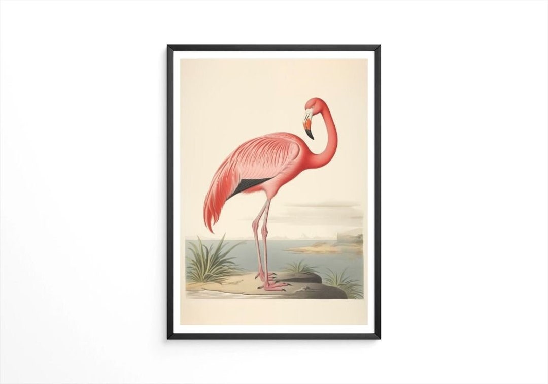 Flamboyant Pink Flamingo Bird Poster Wall Art Print Picture Painting ...