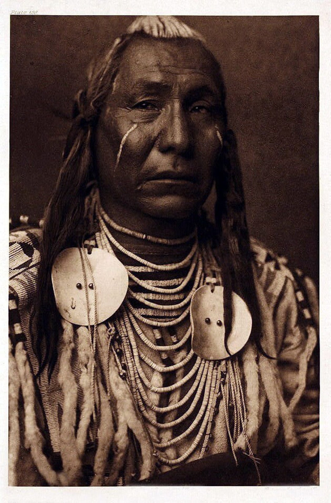 Red Wing Native American Indian Print, Wall Art - Indigenous Americans ...