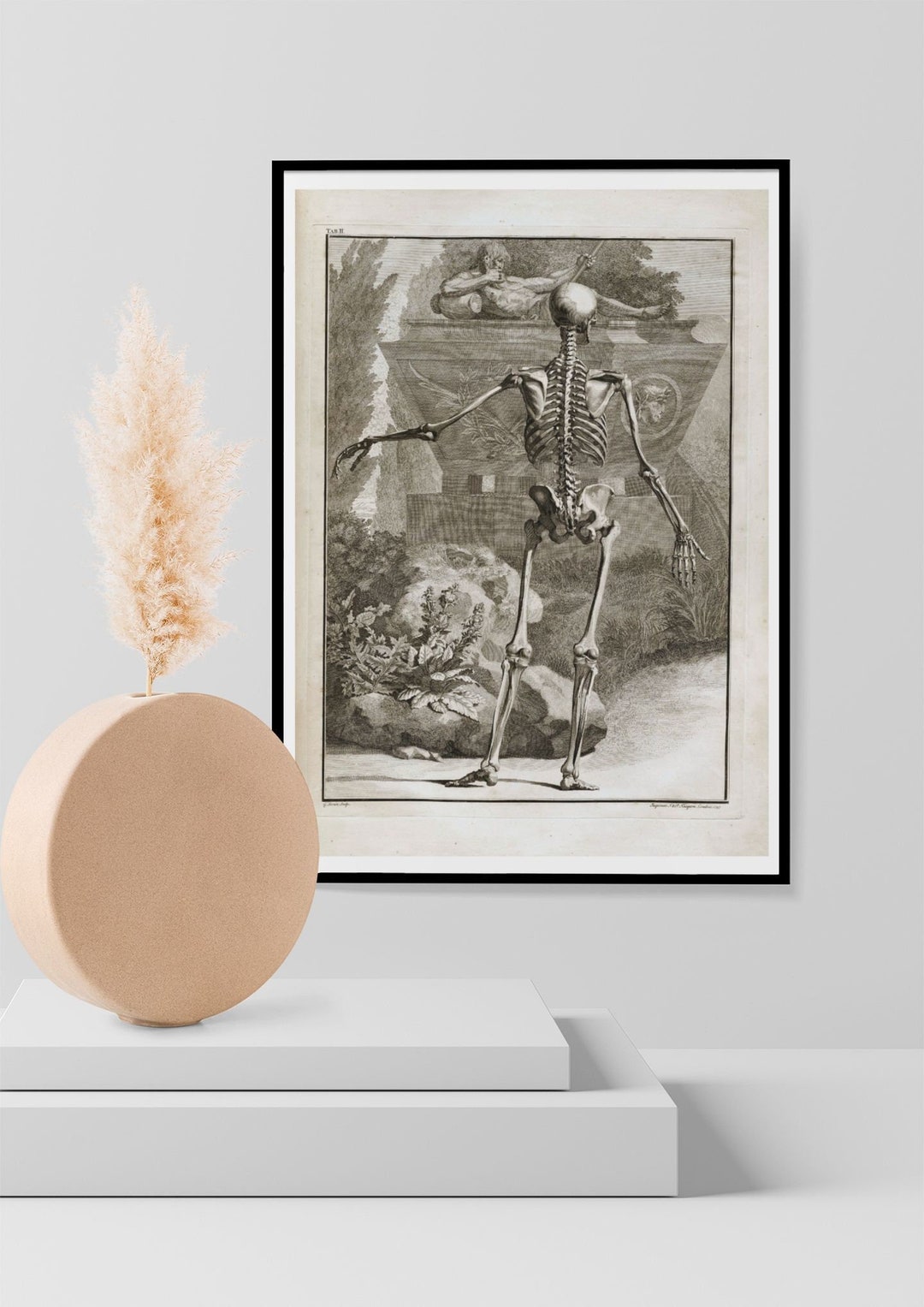 Vintage Scientific Illustration Print, Drawing Dark Art, Vintage Art ...