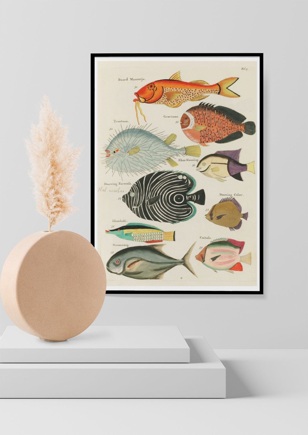 Colorful Fish Print Vintage 18th Century Natural History Ocean Aquarium ...
