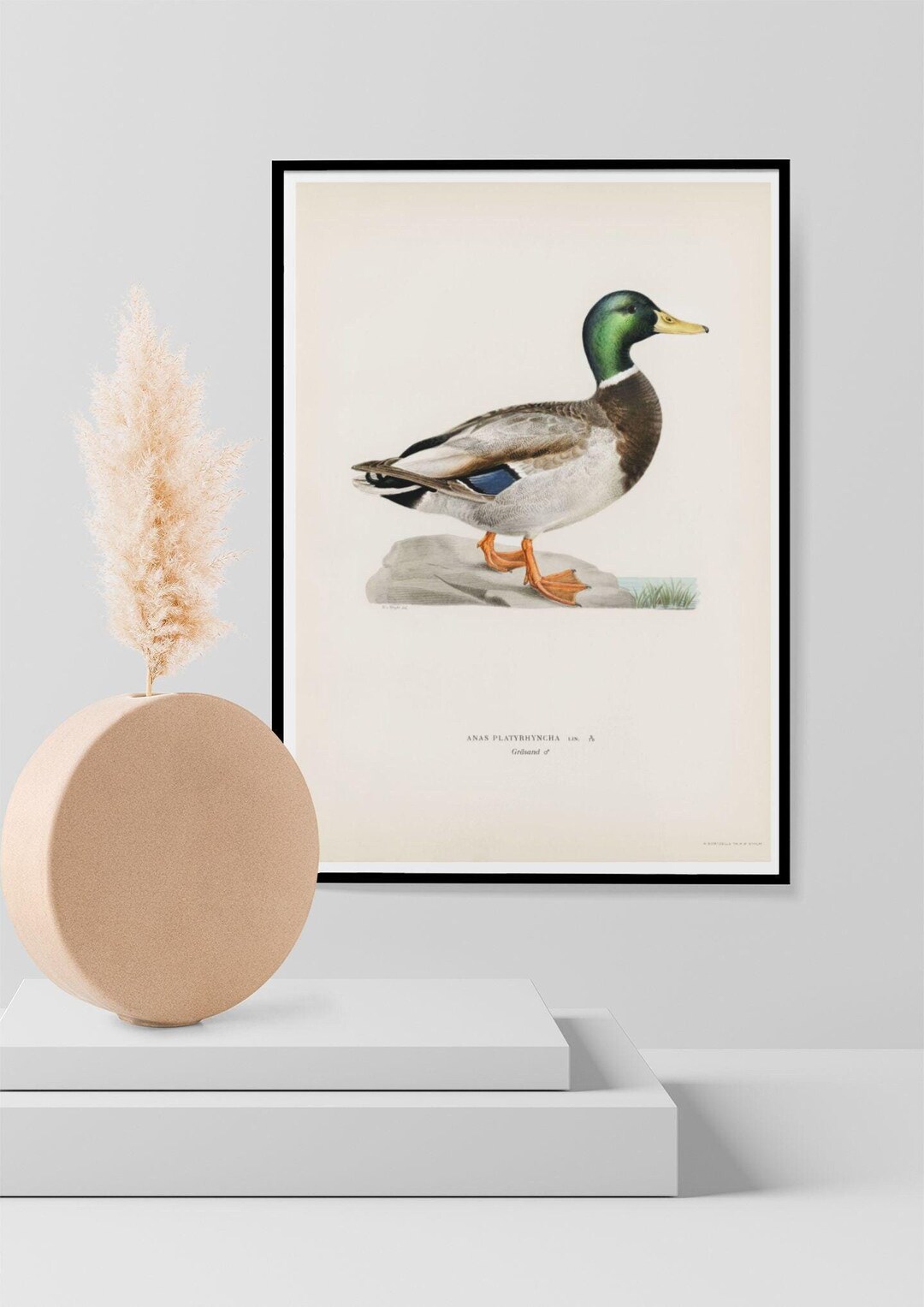 Mallard Duck Vintage Poster Von Wright Bros Painting Wall Art Male Duck ...