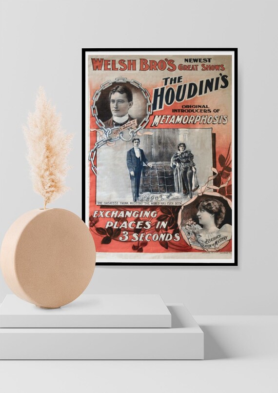 Houdini Metamorphosis Poster