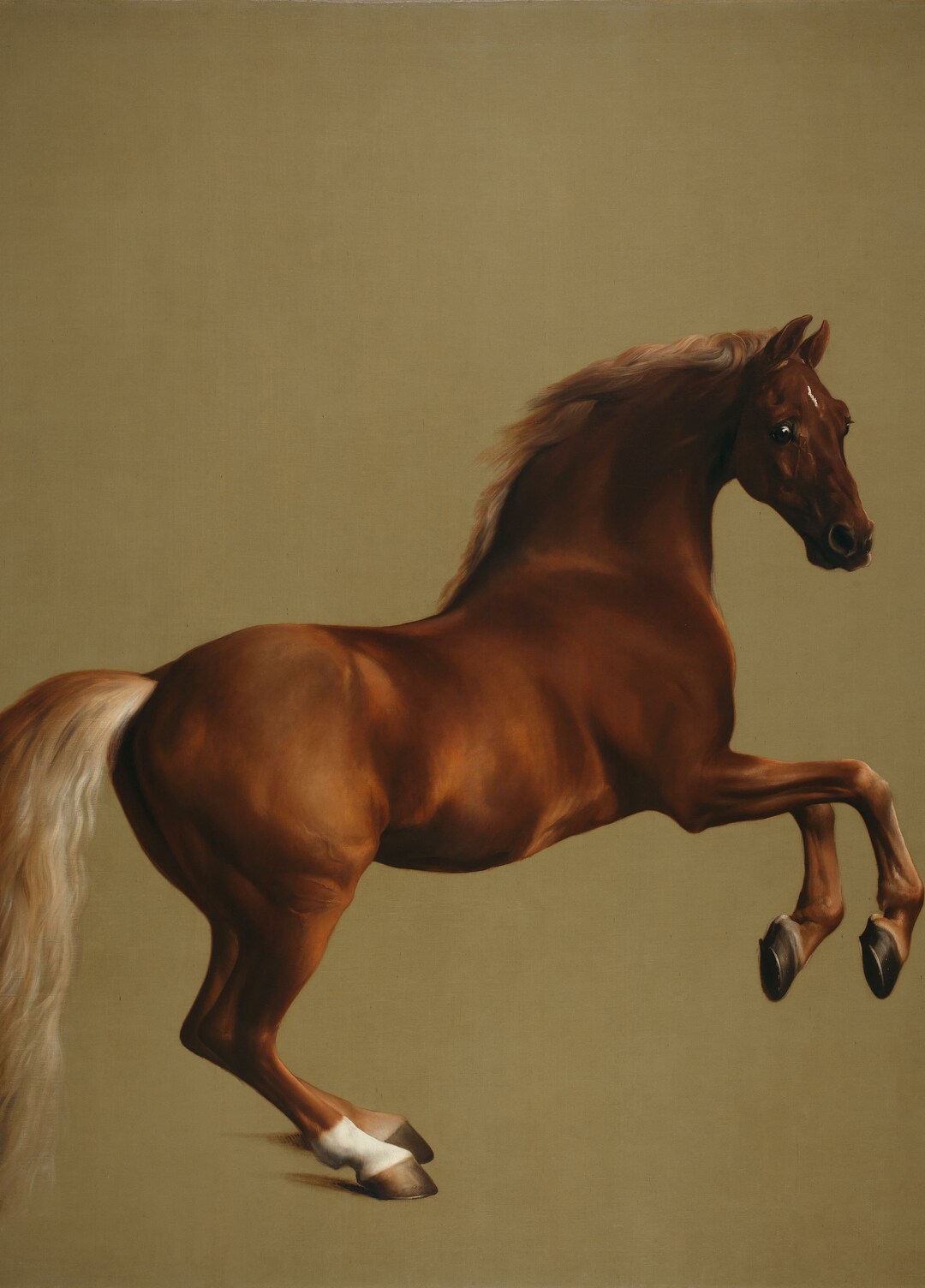 George Stubbs Whistlejacket Horse Poster, Vintage Reproduction Animal ...