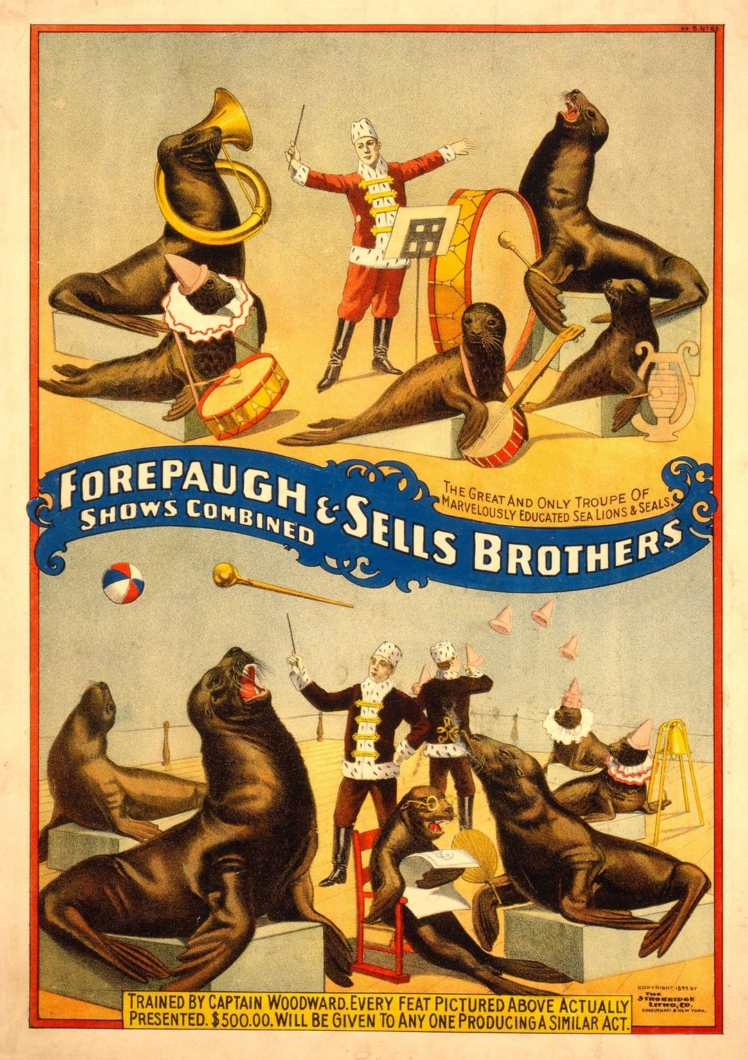 Vintage Circus Poster Print, Retro Circus Advert Performing Sea Lions ...