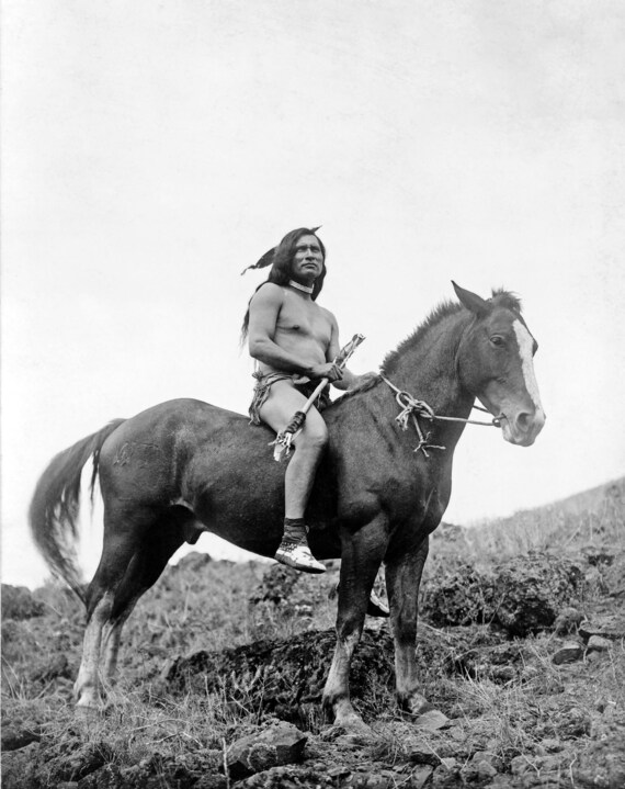 Caballos Indios Nativos Americanos Nativos Americanos Ya Montaban A