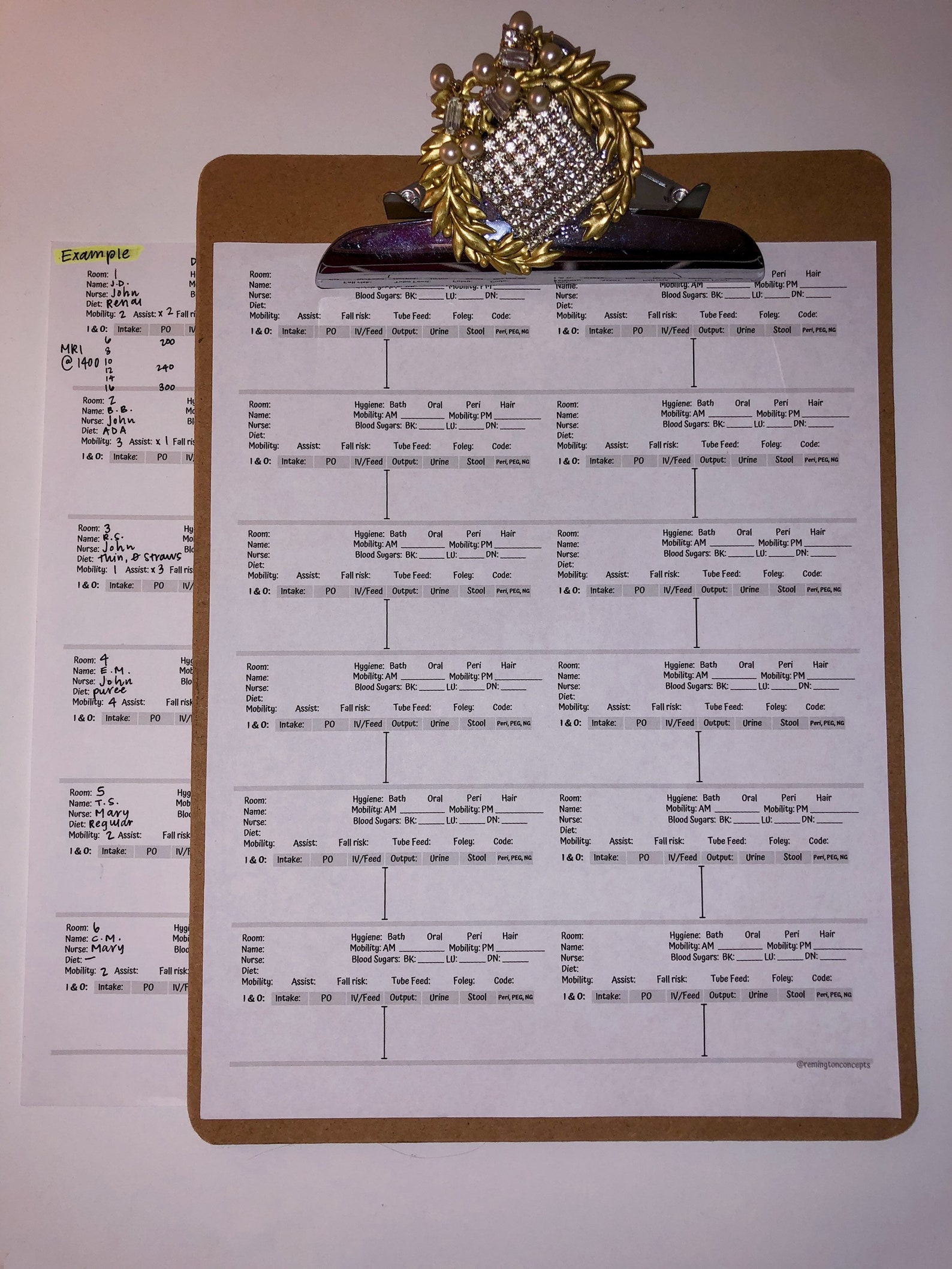 CNA Brain Sheet Report Organizer -- for Nurse Assistant, Tech ...