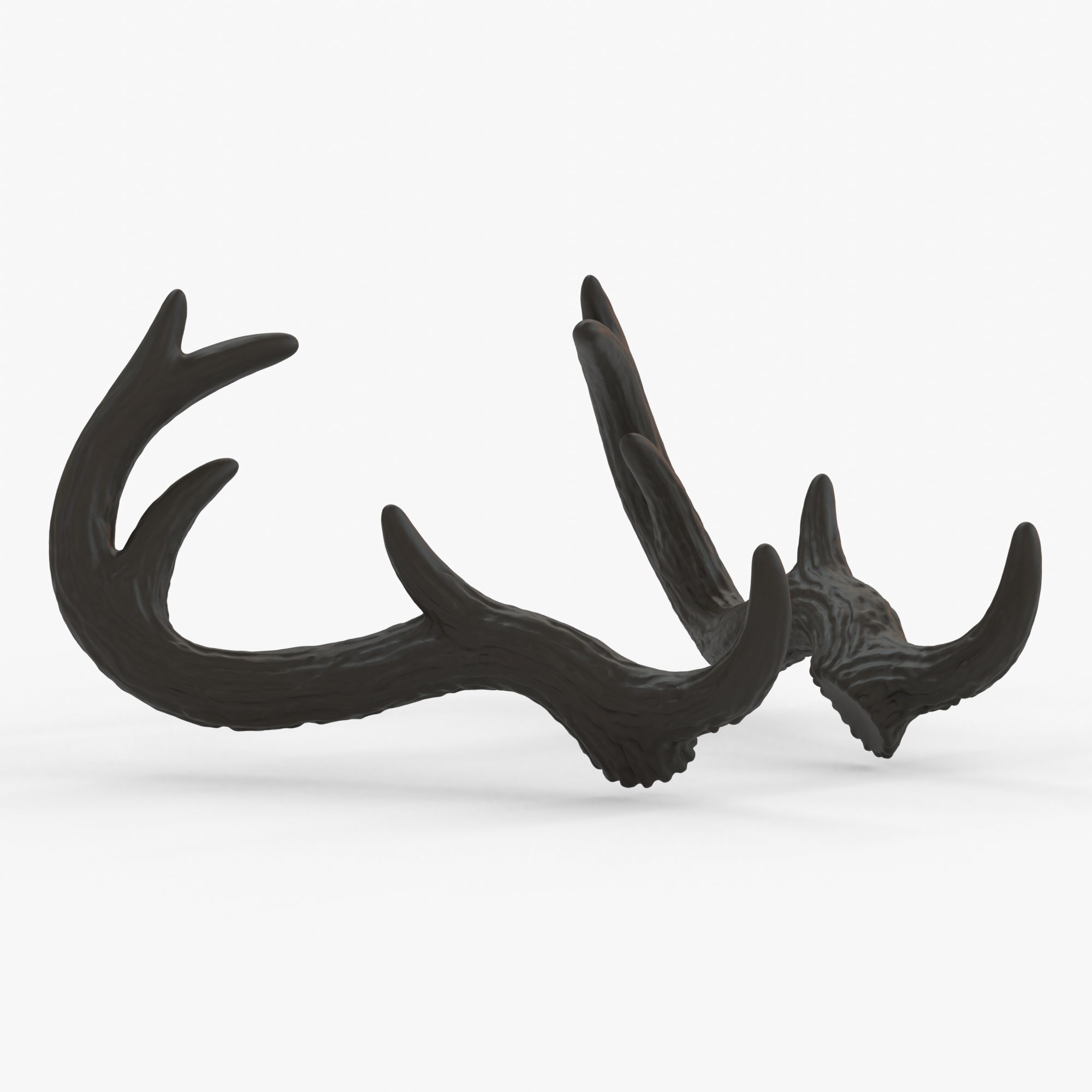 Digital 3D Model for Eld's Deer Antlers | Lucy - Etsy