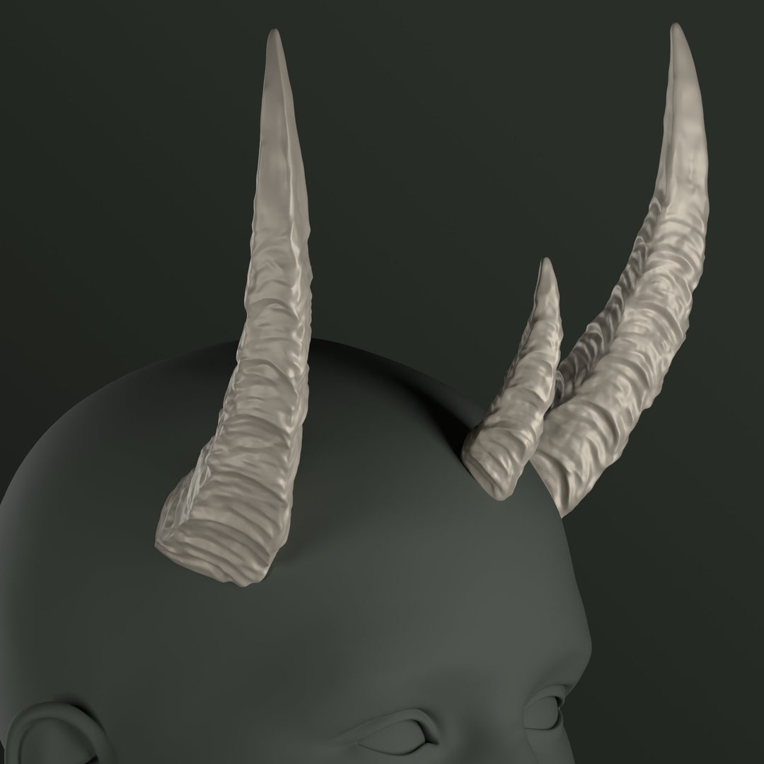 Digital 3D Model for Medium Horns | Gabriella - Etsy