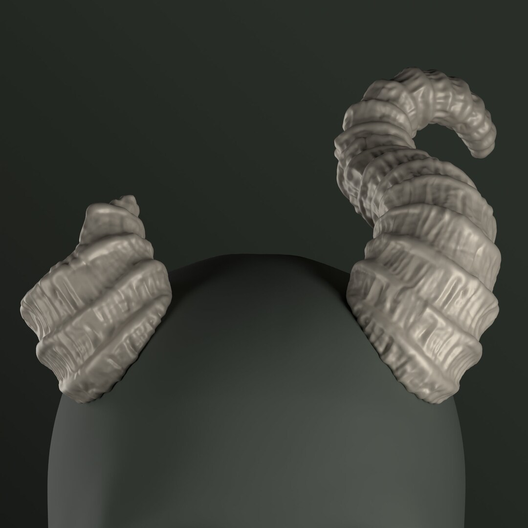 Digital 3D Model for Horns With Broken Side | Adrienne - Etsy