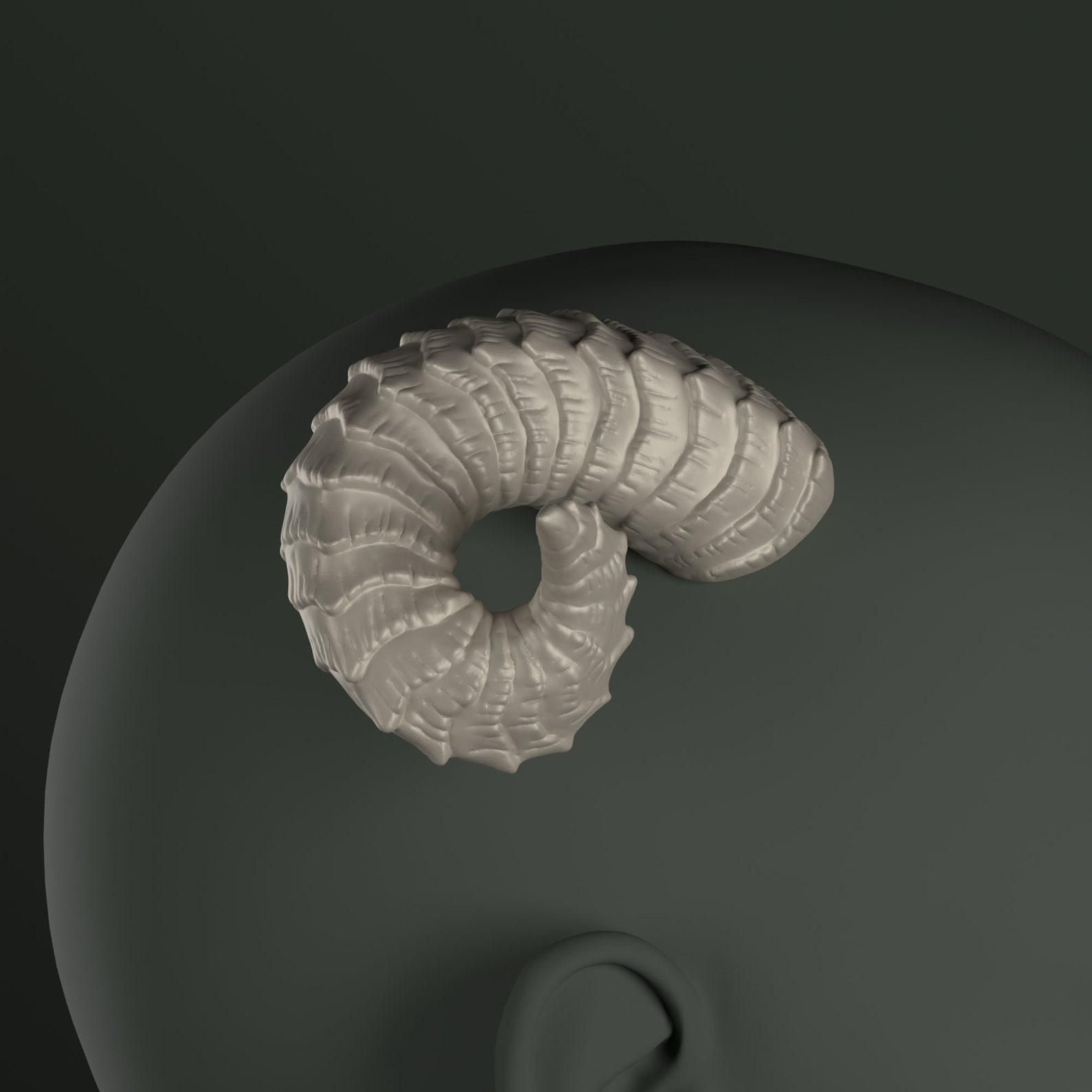 Digital 3D Model for Small Curled Horns | Laura - Etsy