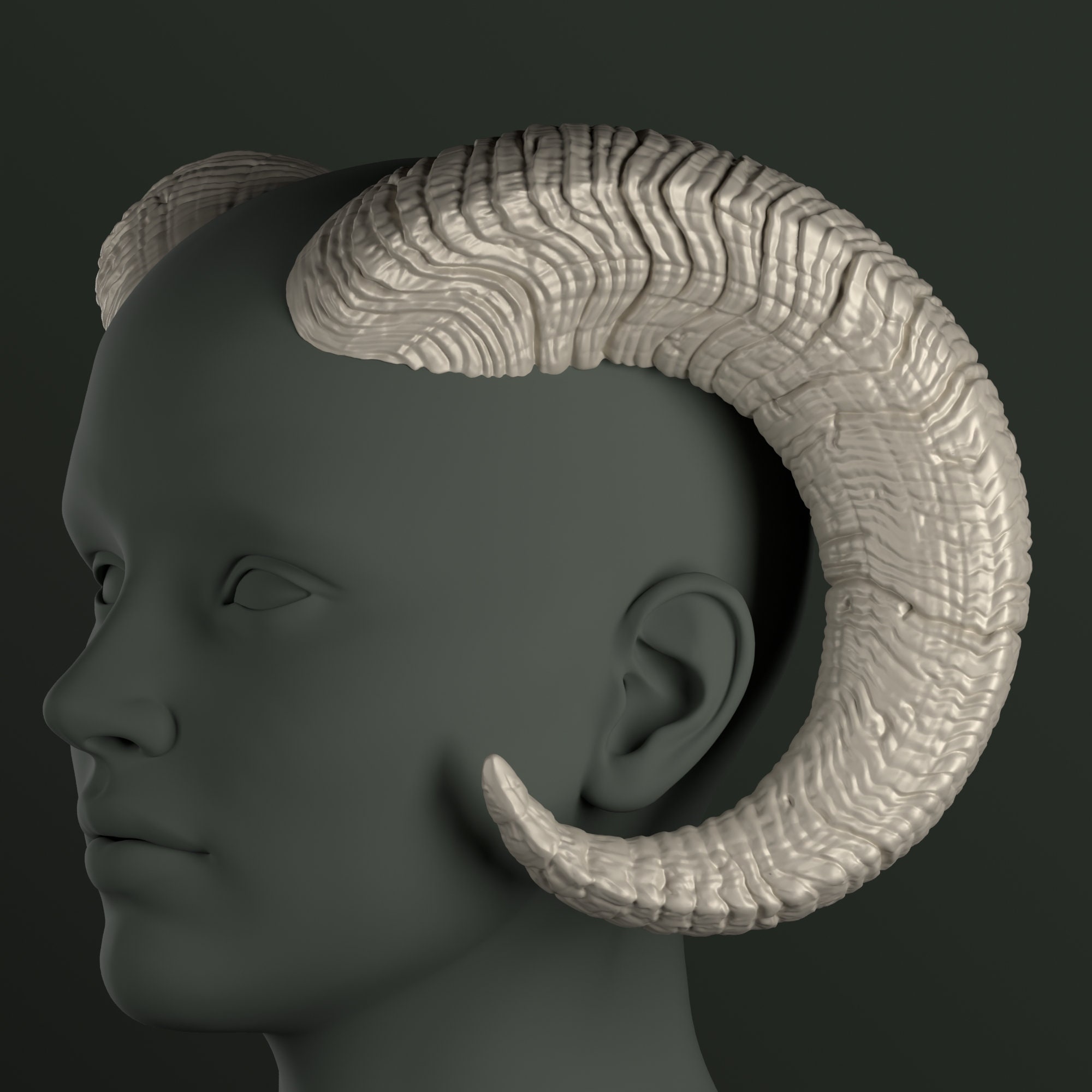 Digital 3D Model for Ram Horns | Marko - Etsy
