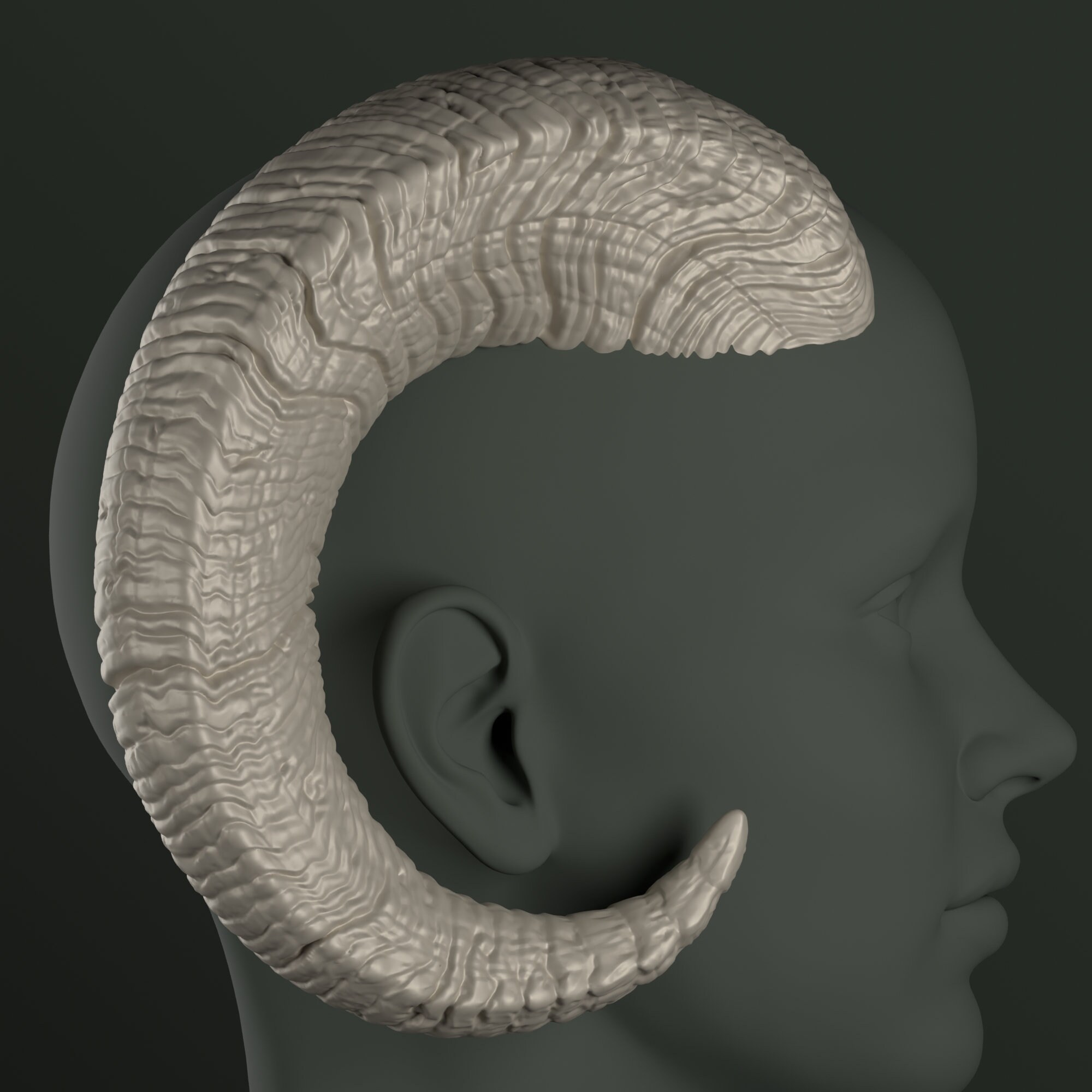 Digital 3D Model for Ram Horns | Marko - Etsy
