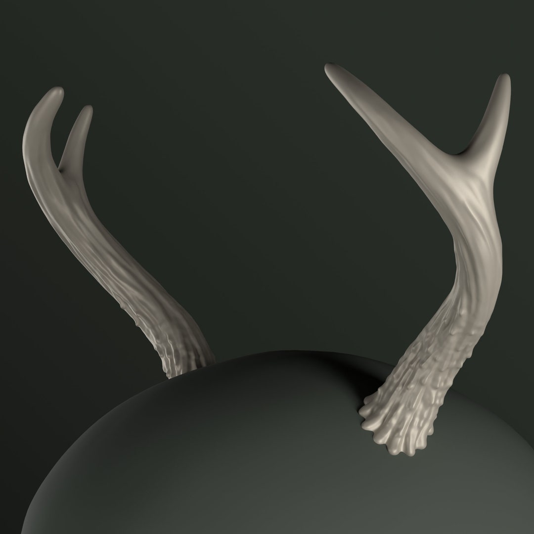 Bramble | Small Antlers Digital 3D Model - Etsy