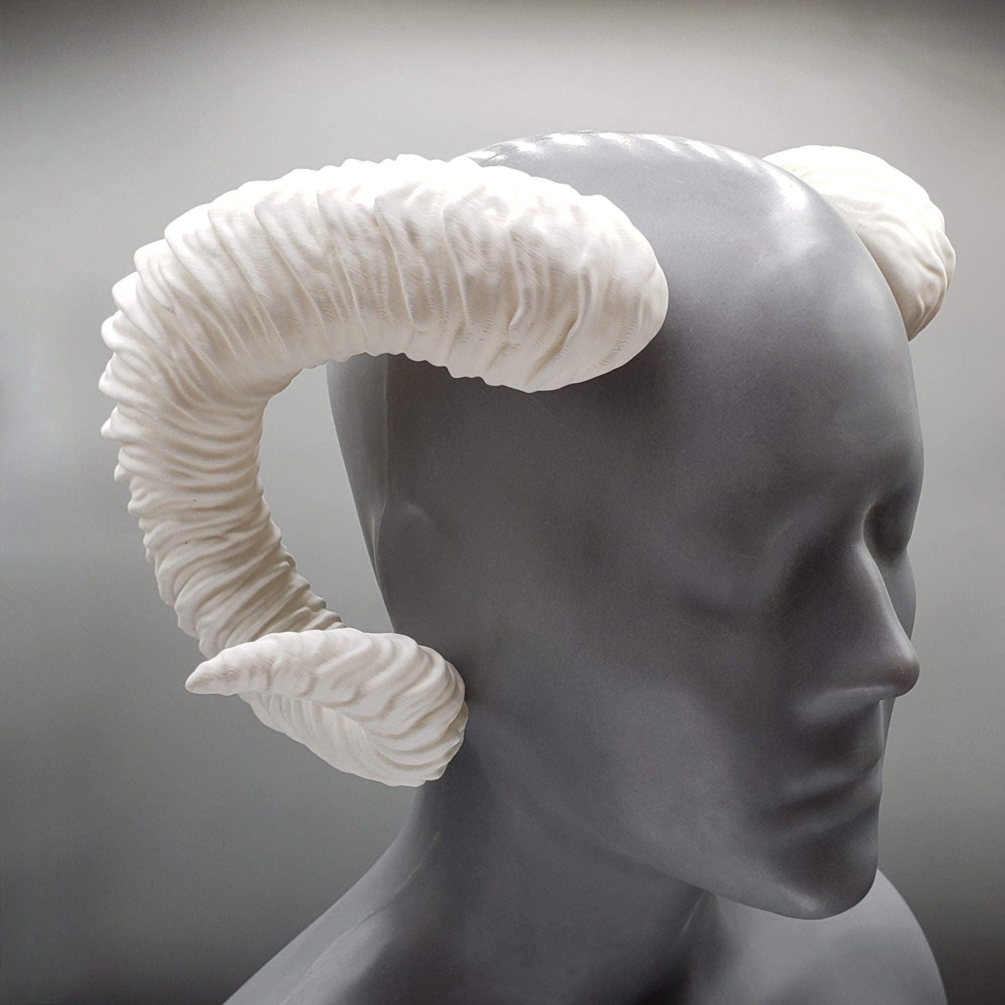 Black Ram Horns