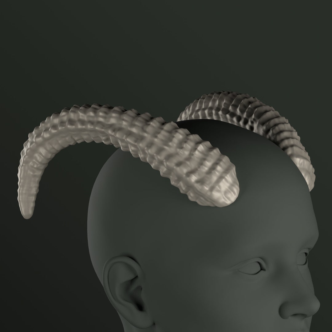 Digital 3D Model for Large Curved Horns | Lauren - Etsy