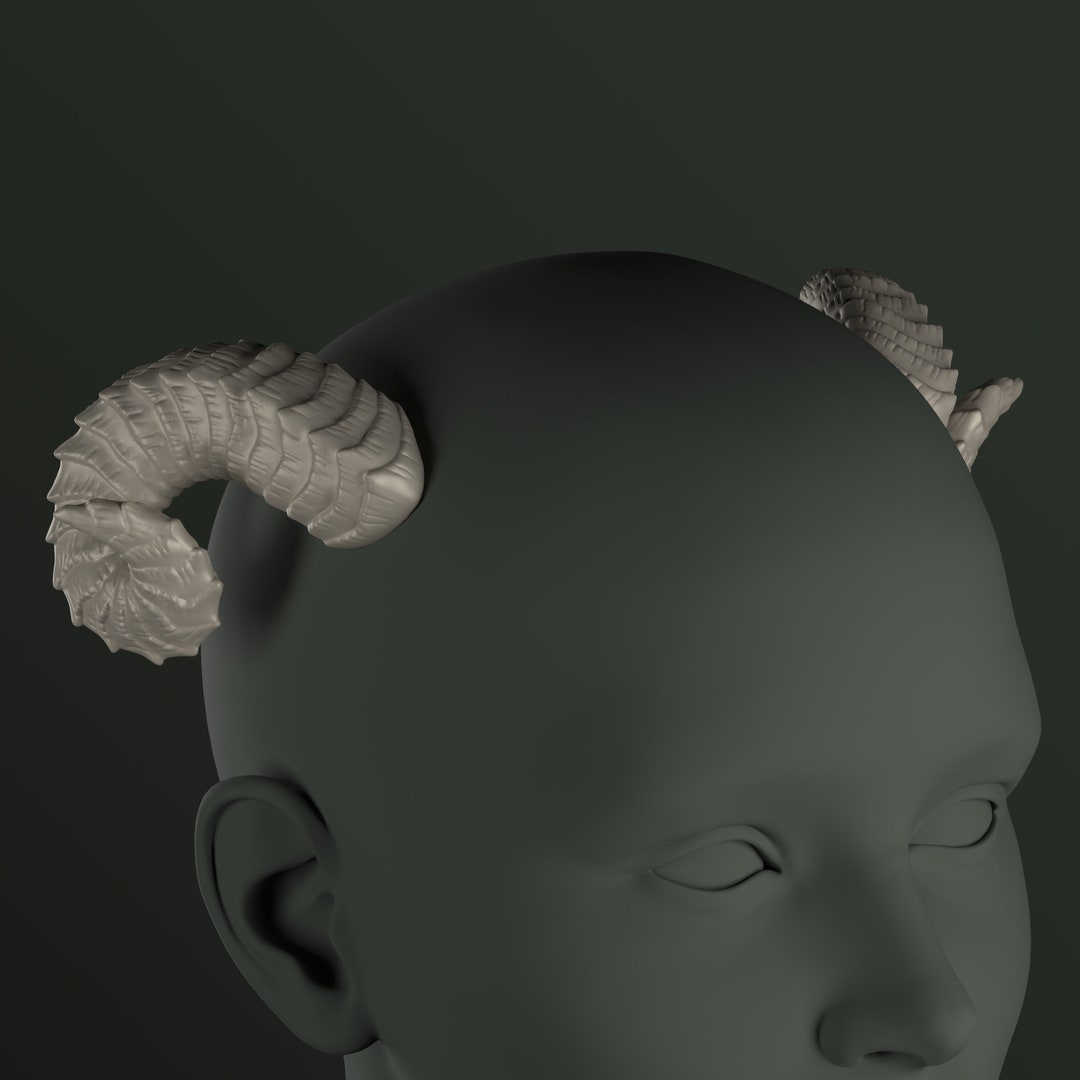 Digital 3D Model for Small Curled Horns | Laura - Etsy