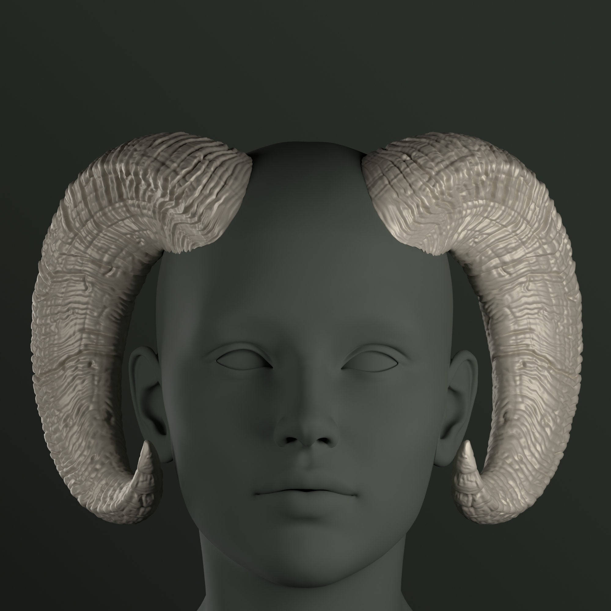 Digital 3D Model for Ram Horns | Marko - Etsy
