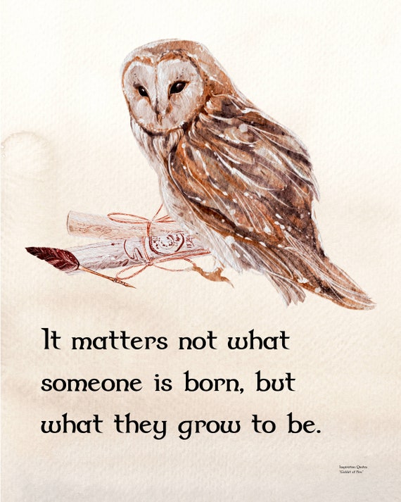 Preschool Owl Quotes 1024x1024
