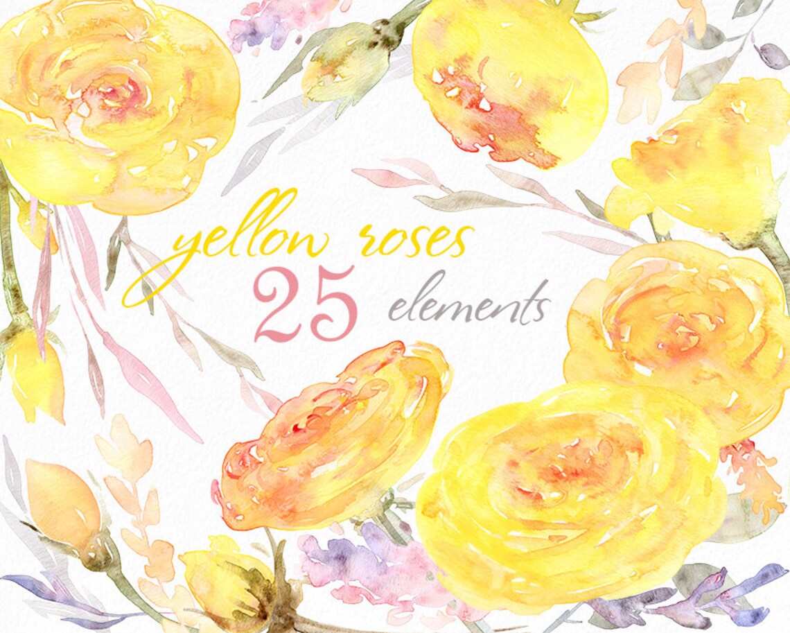 Yellow Roses Watercolor Clipart Commercial Use Digital Graphic - Etsy
