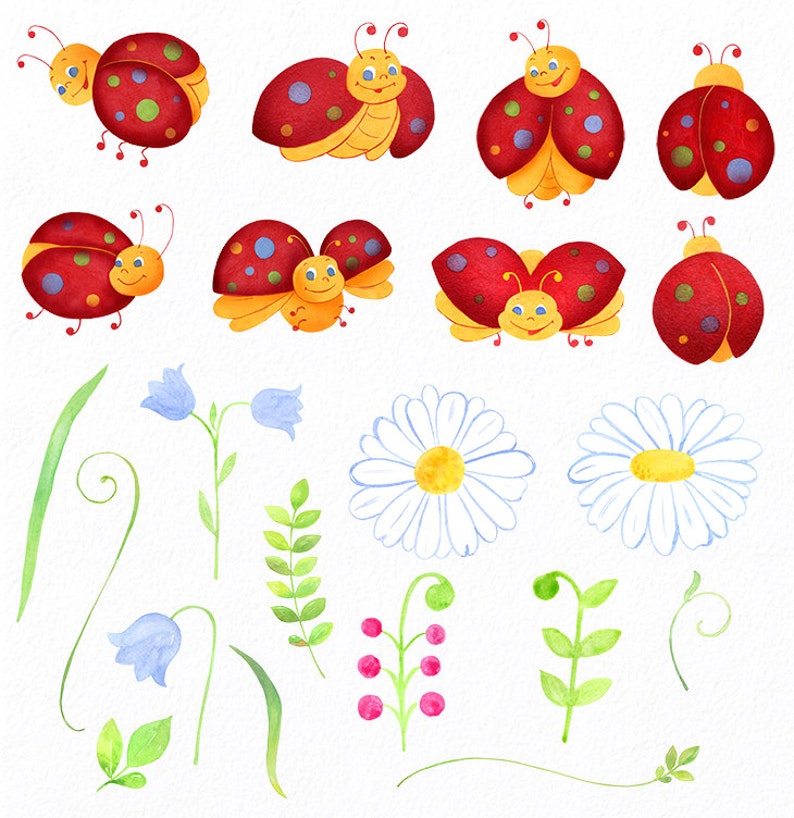 Ladybug Watercolor Clipart Commercial Use Cute Ladybird | Etsy