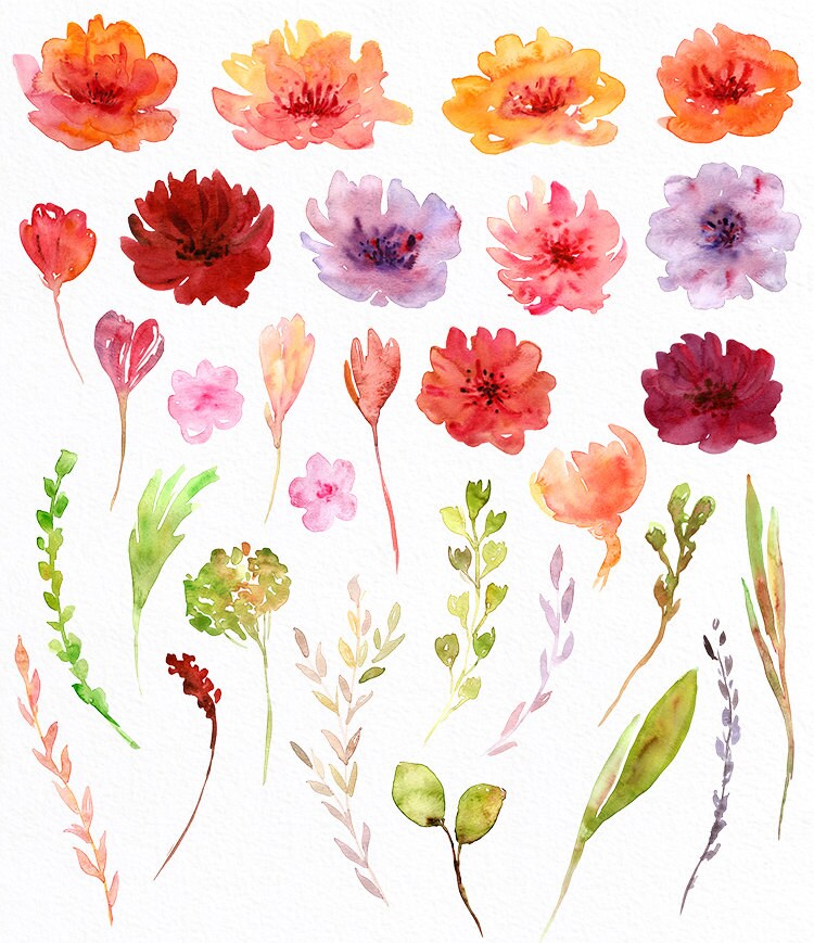 Sunny Flowers Watercolor Clipart Commercial Use Floral Autumn - Etsy
