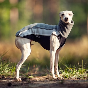 Italian greyhound clothing | Etsy
