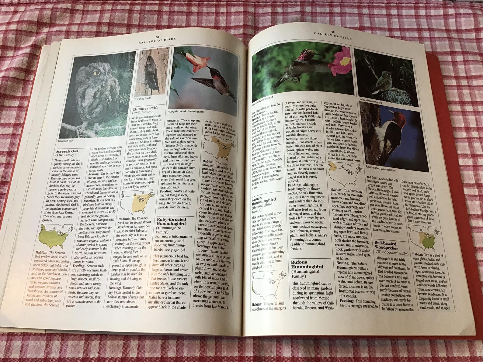 How to Attract Birds Book - Etsy