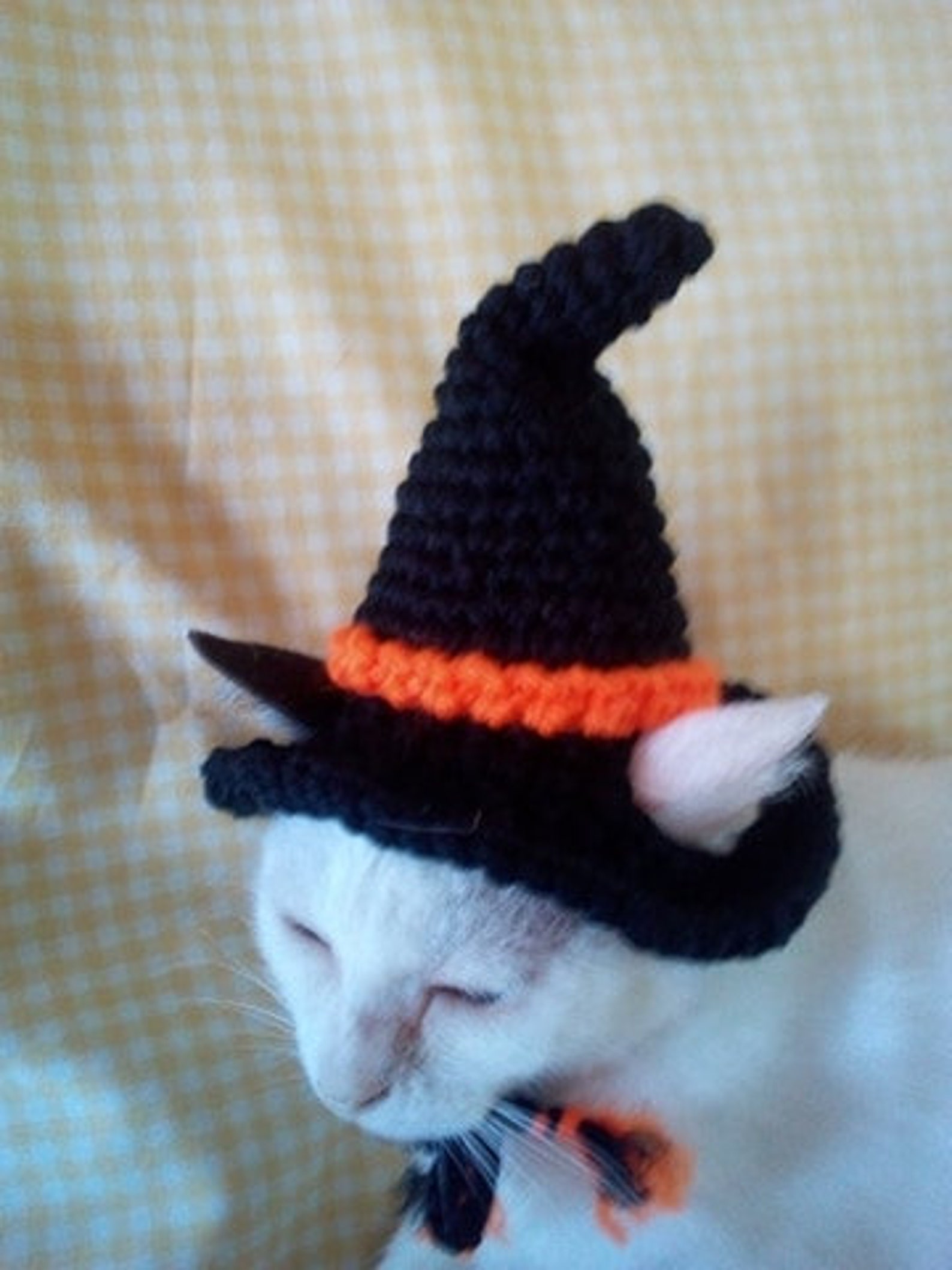 Hats for Cats/witch Hat for Cat/halloween Cat Costume/pet - Etsy UK
