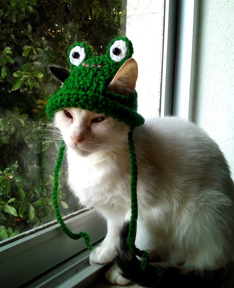 Hats for Cats/frog Hat for Cat/cat Costume/pet Costume/beret - Etsy UK
