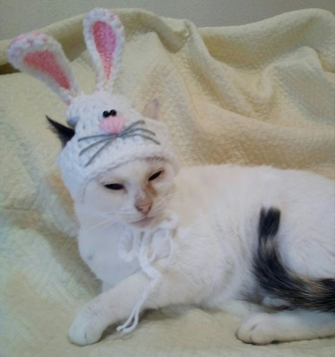 Hats for Cats/easter Hat for Cat/bunny Hat for Cat/cat Costume/beret ...