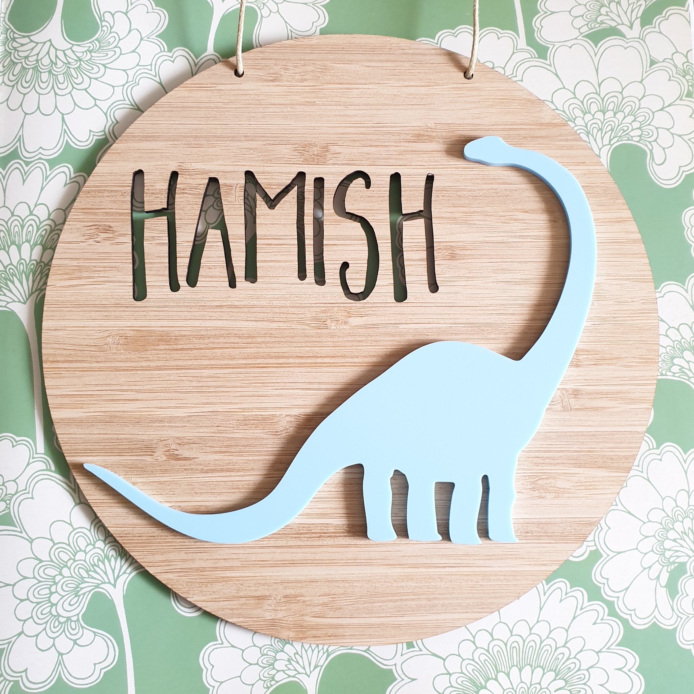 DINOSAUR Personalised Wooden Wall-door Hanging-nursery | Etsy Australia