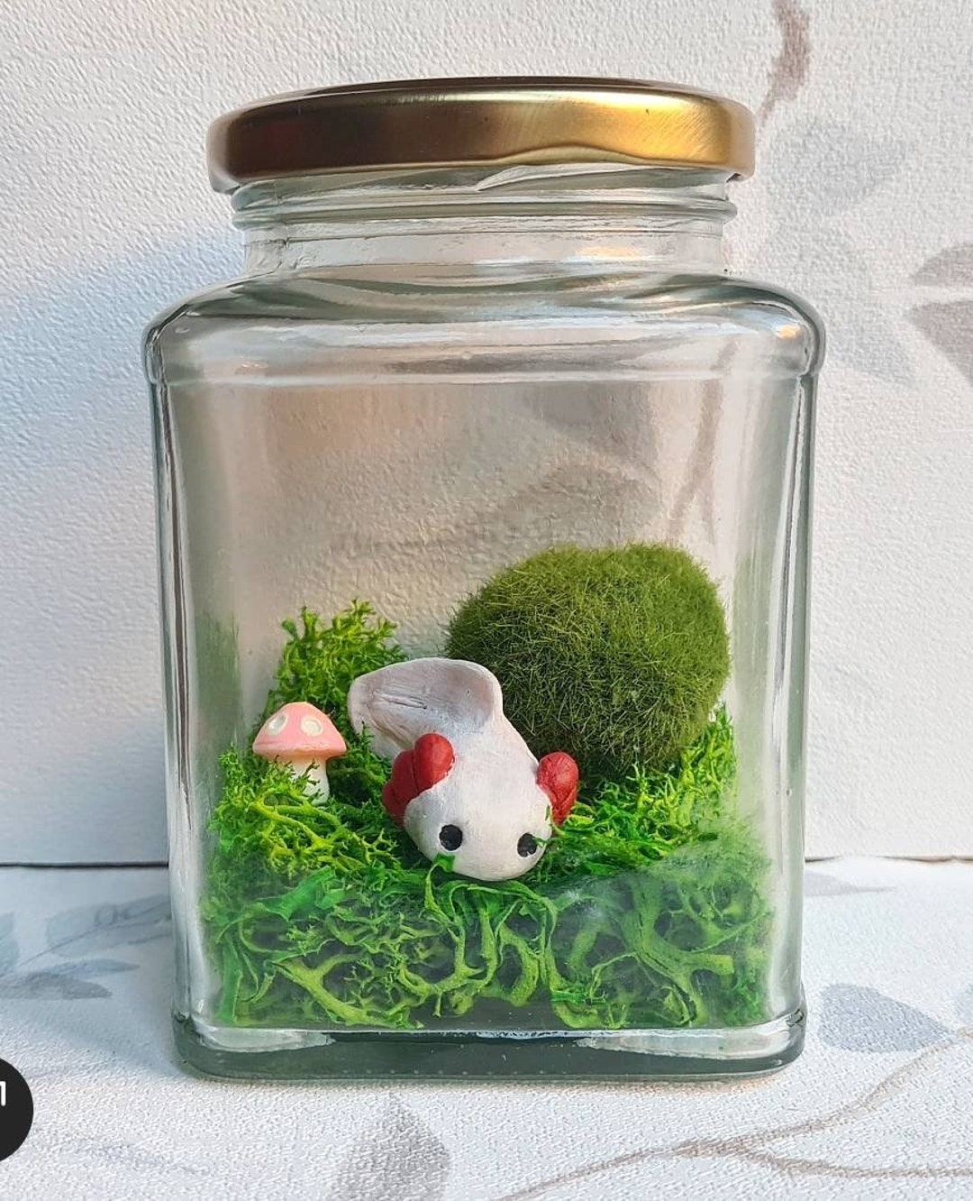 Mini Axolotl Terrarium - Etsy
