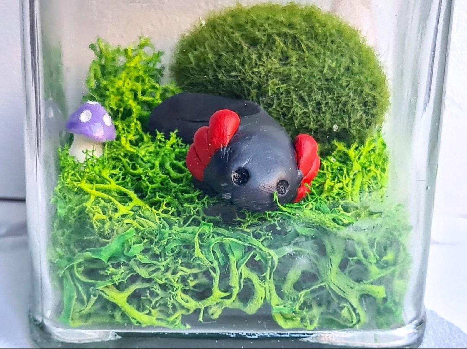 Mini Axolotl Terrarium - Etsy