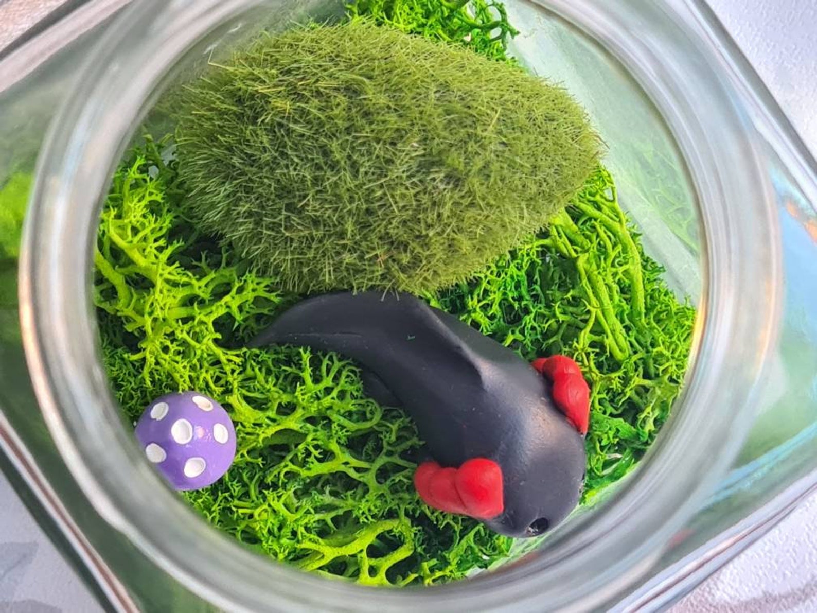 Mini Axolotl Terrarium - Etsy