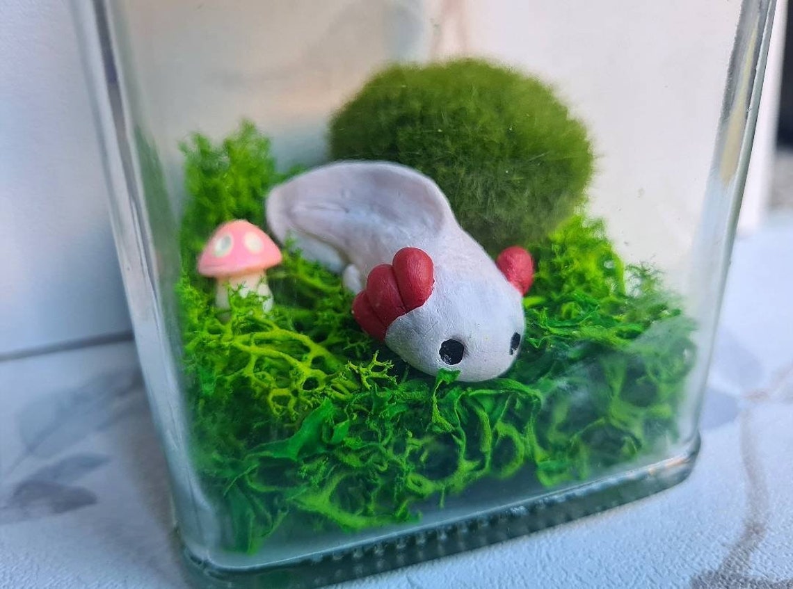 Mini Axolotl Terrarium - Etsy