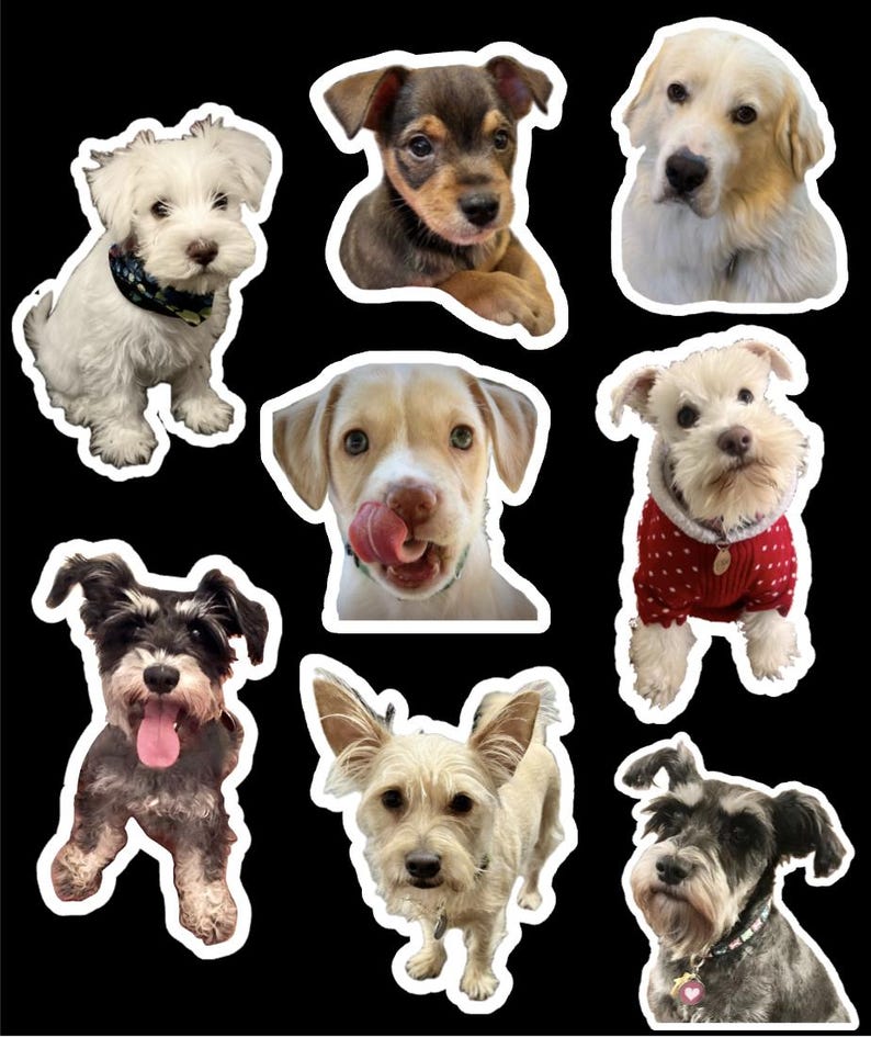 Personalized Pet Vinyl Stickers Customized Dog Cat Decals Waterproof - Etsy