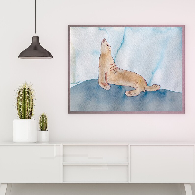 California Sea Lion Old Ben (P84) by Rondofish (giclée Fine Art Print ...