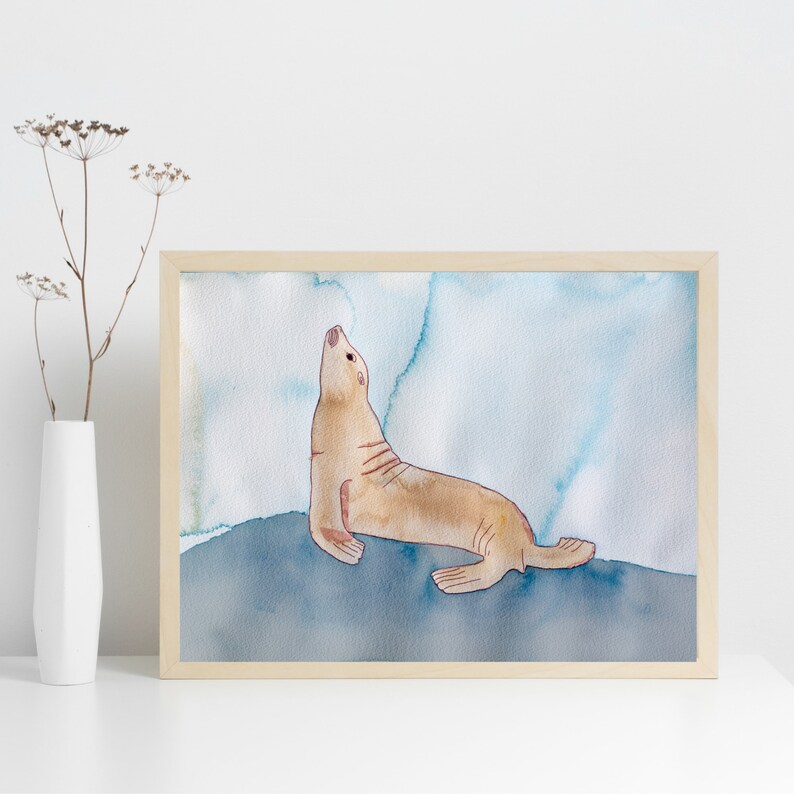 California Sea Lion Old Ben (P84) by Rondofish (giclée Fine Art Print ...