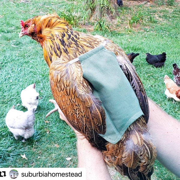 Chicken Saddle - Etsy