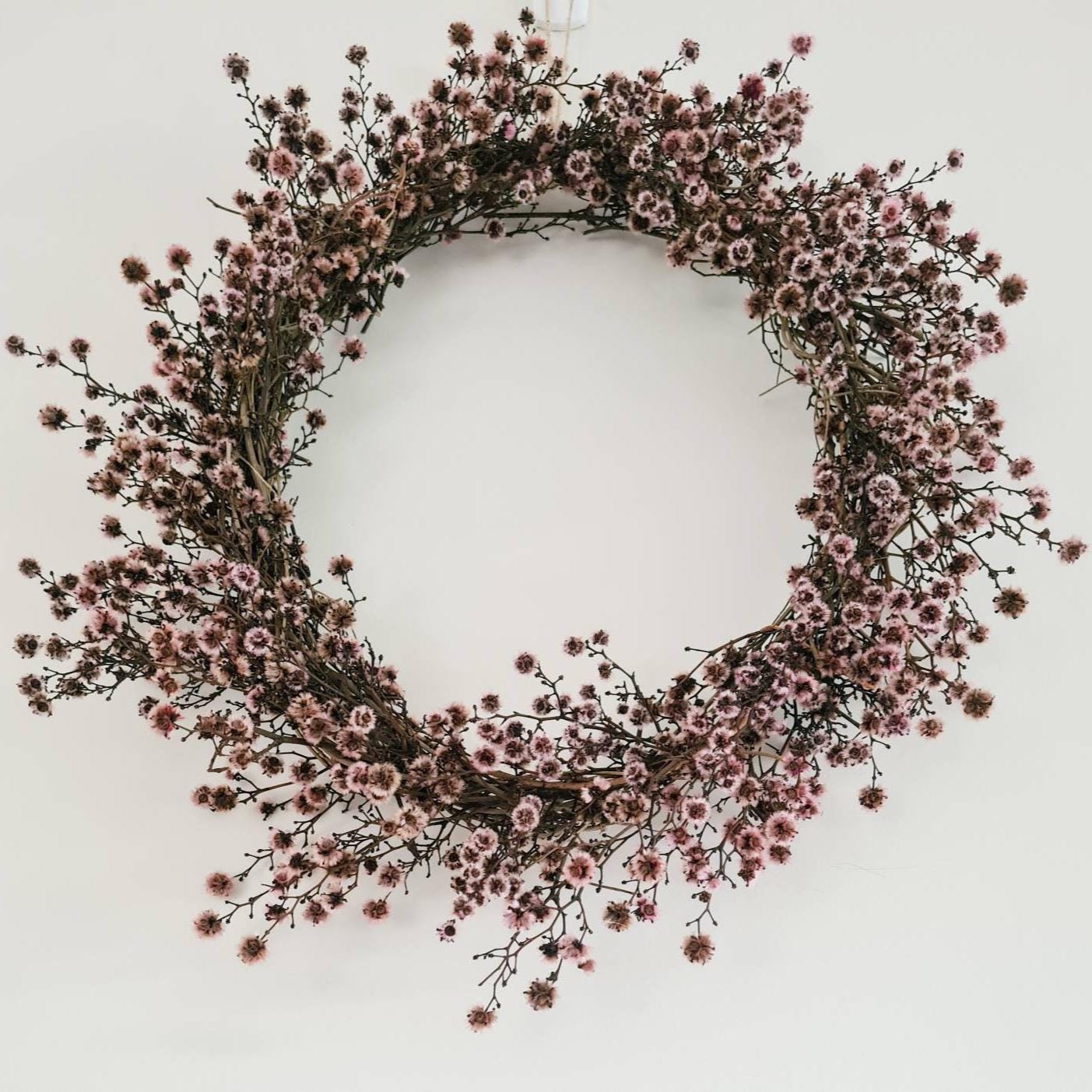 Pink Preserved Stirlingia Wreath Australian Native Flowers Easter ...