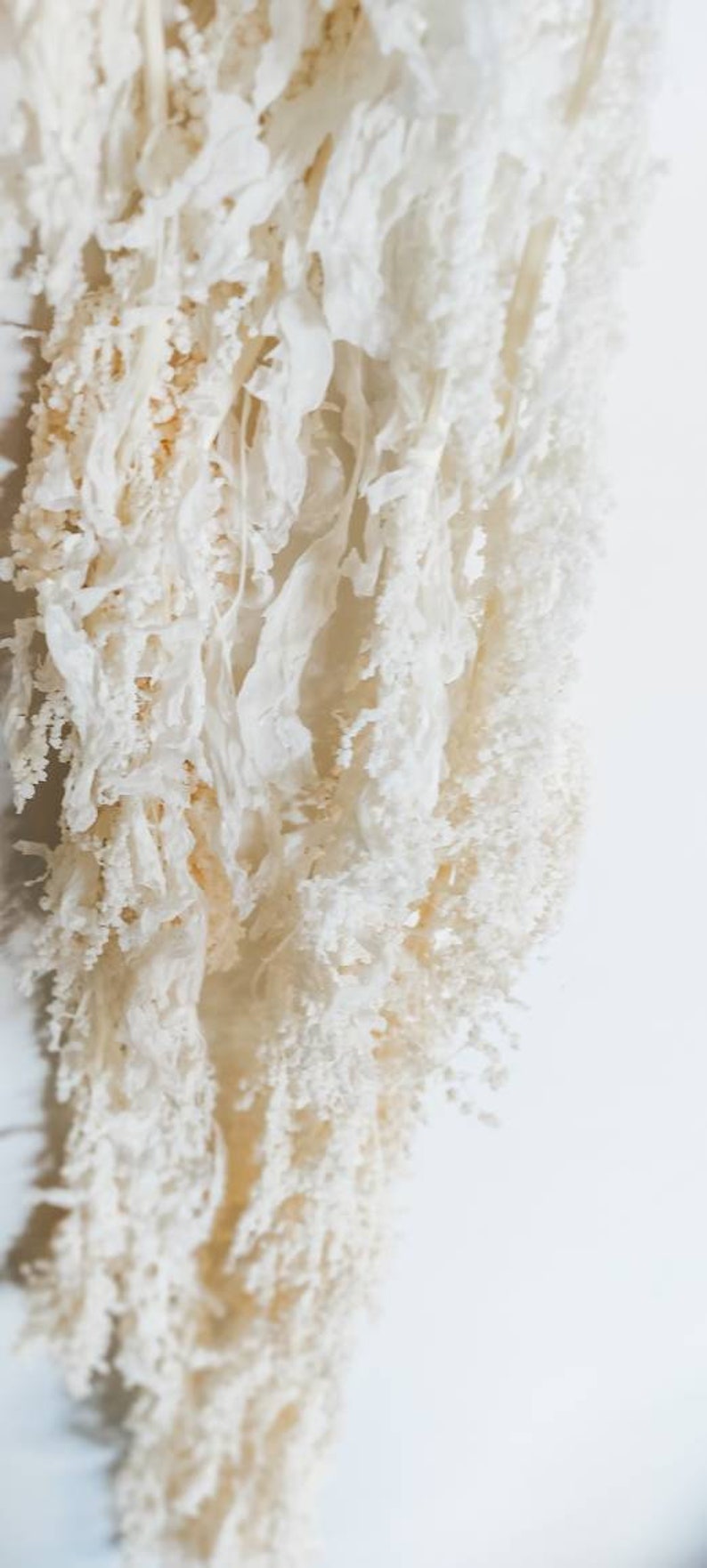 Preserved White Hanging Amaranthus Long Dried Flowers Stems Natural ...