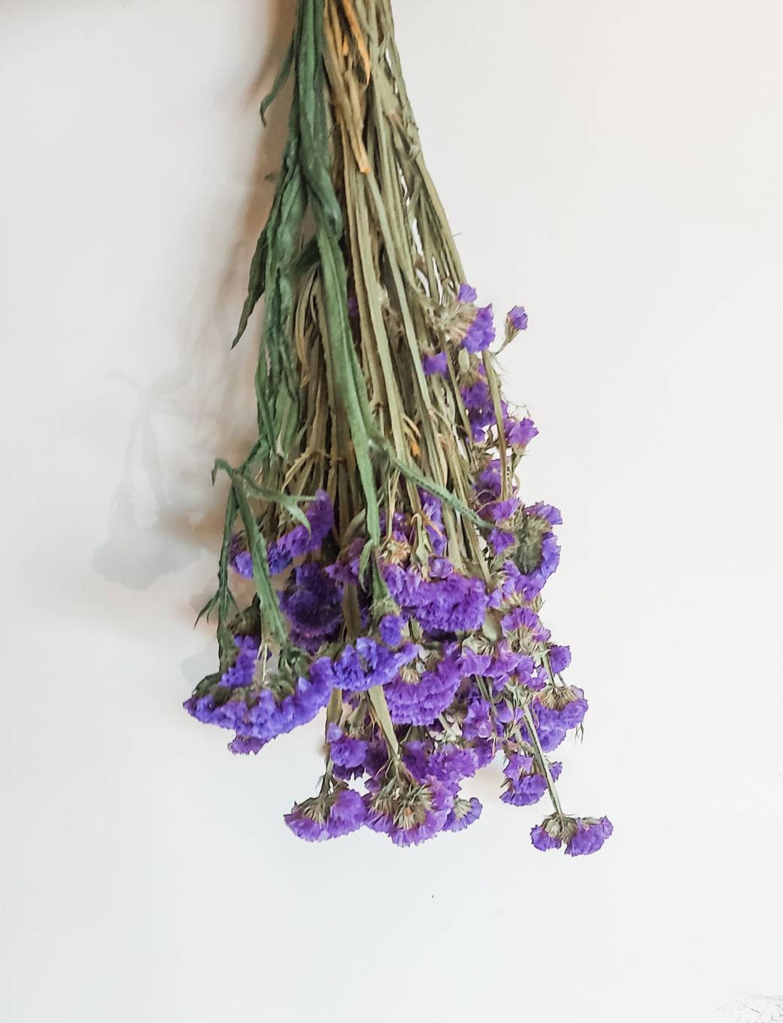 Dried Purple Statice Flowers Flora Natural Preserved Limonium Sea ...
