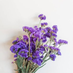 Dried Purple Statice Flowers Flora Natural Preserved Limonium Sea ...