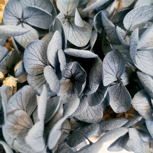 Navy Blue White Preserved Flower Arrangement in Vase Dried Florals ...