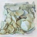 Dried Eucalyptus Leaves Gum Leaf Confetti Biodegradable Eco-preserved ...