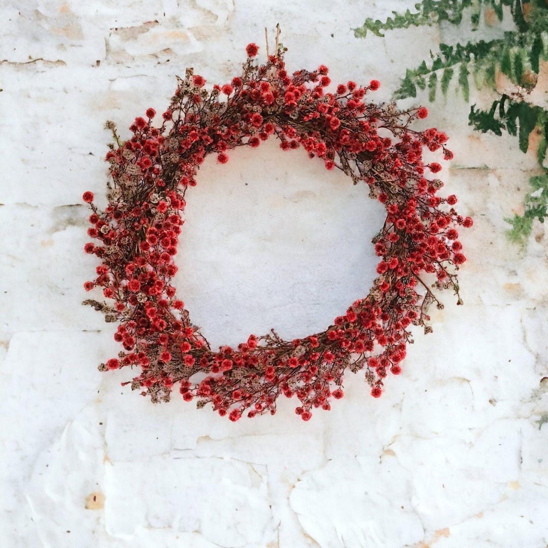 Red Berry Wreath Australian Native Dried Flower Décor Festive Holiday ...